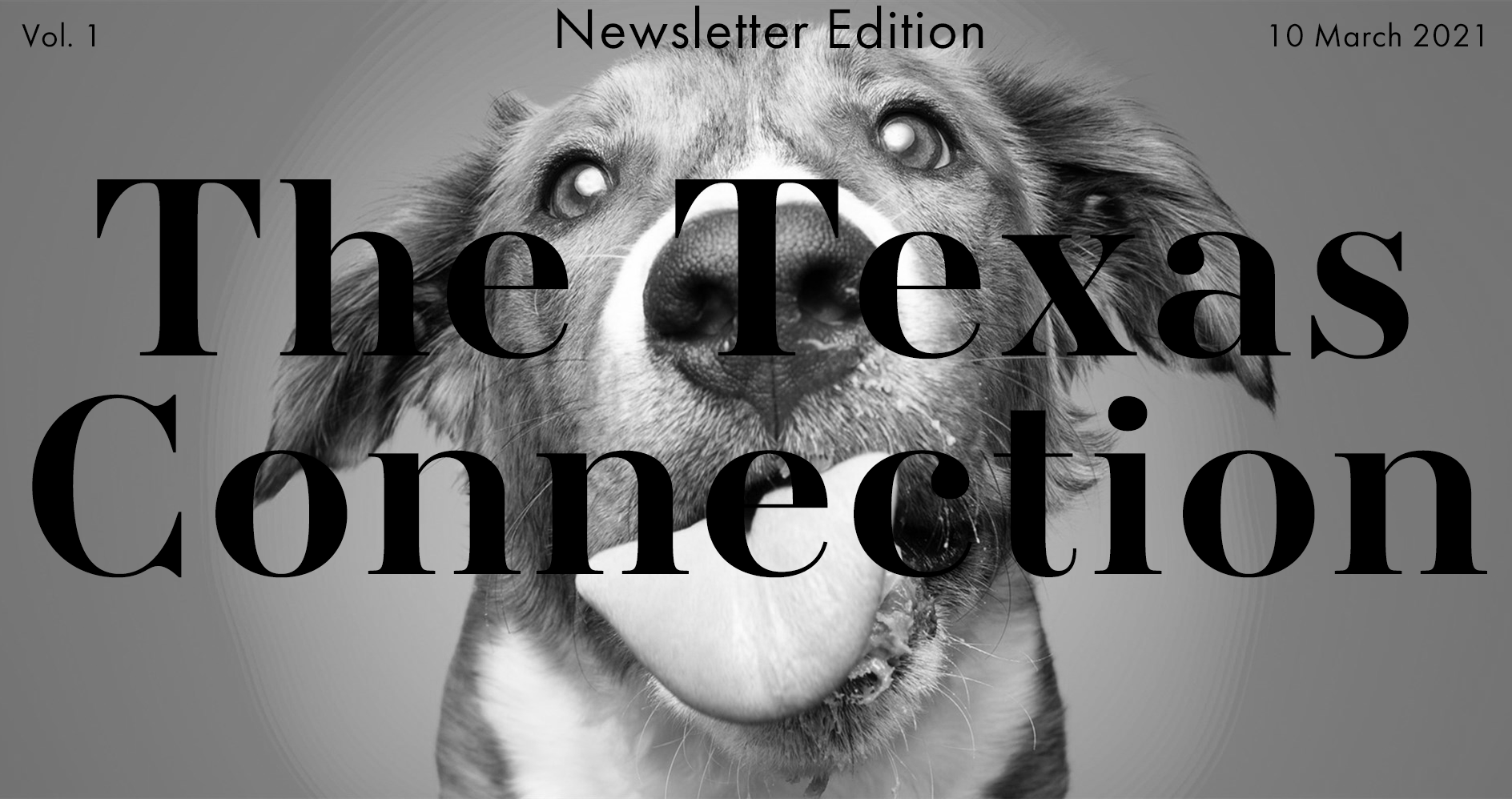 The Texas Connection: Vol. 8 – Texas Humor