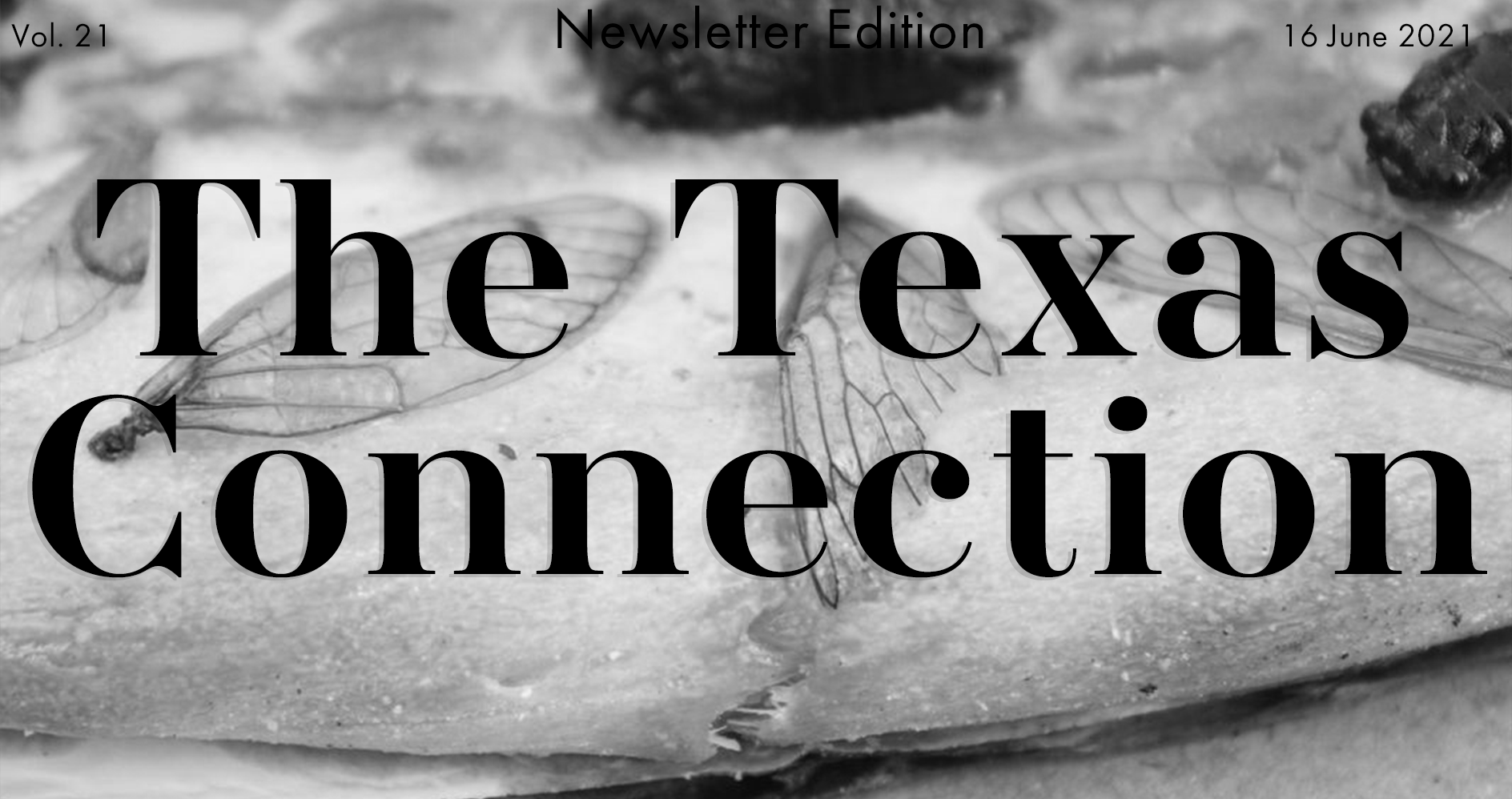 The Texas Connection Vol. 21 – Texas Humor